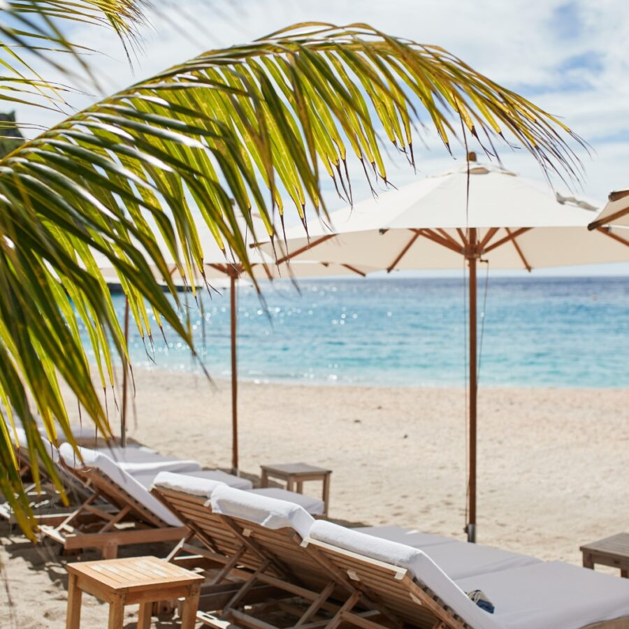 Home St-Barth – Shellona